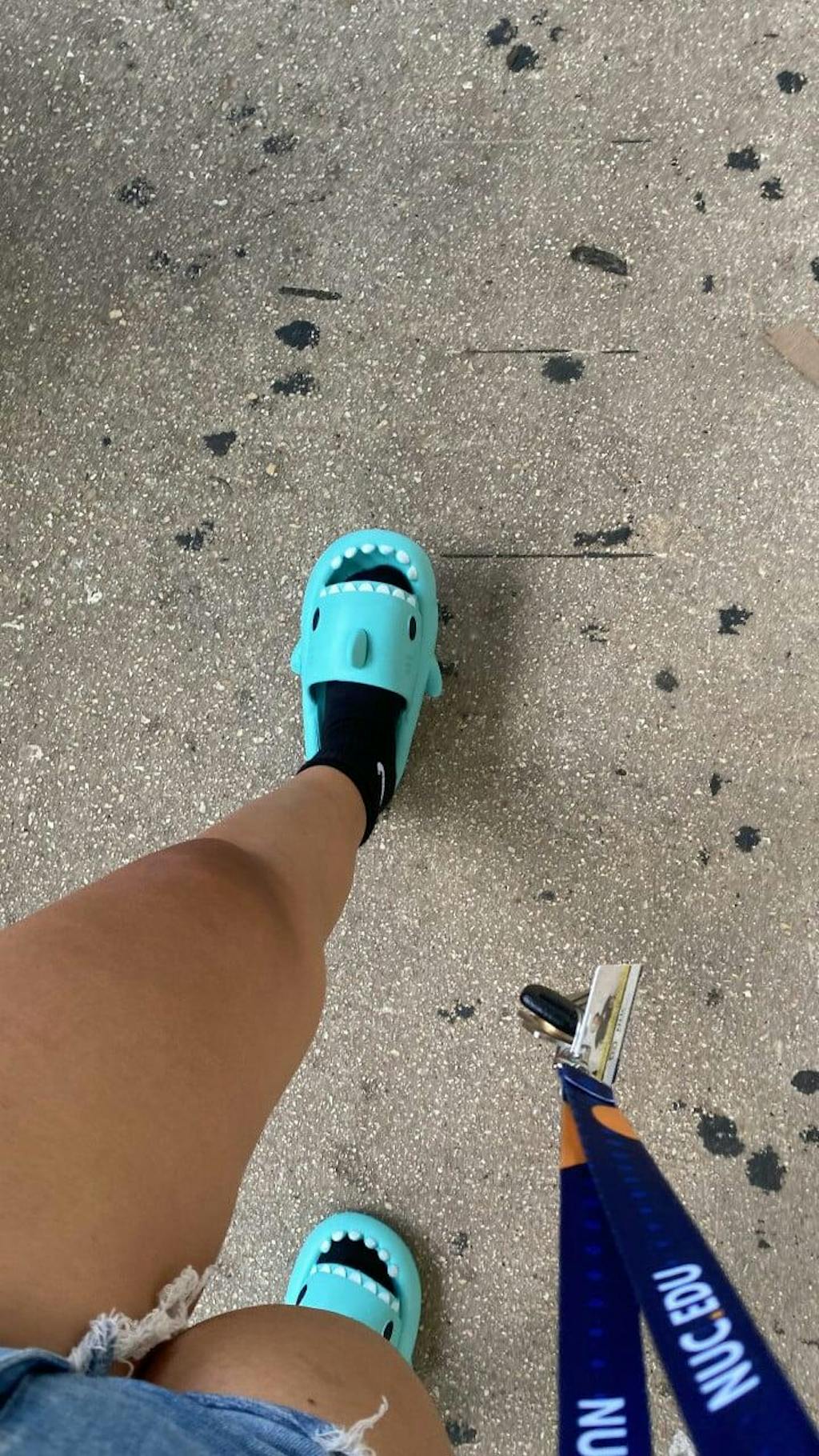 Shark Slides - Anglerfish Glow in The Dark Super Soft Comfy Non-Slip ...