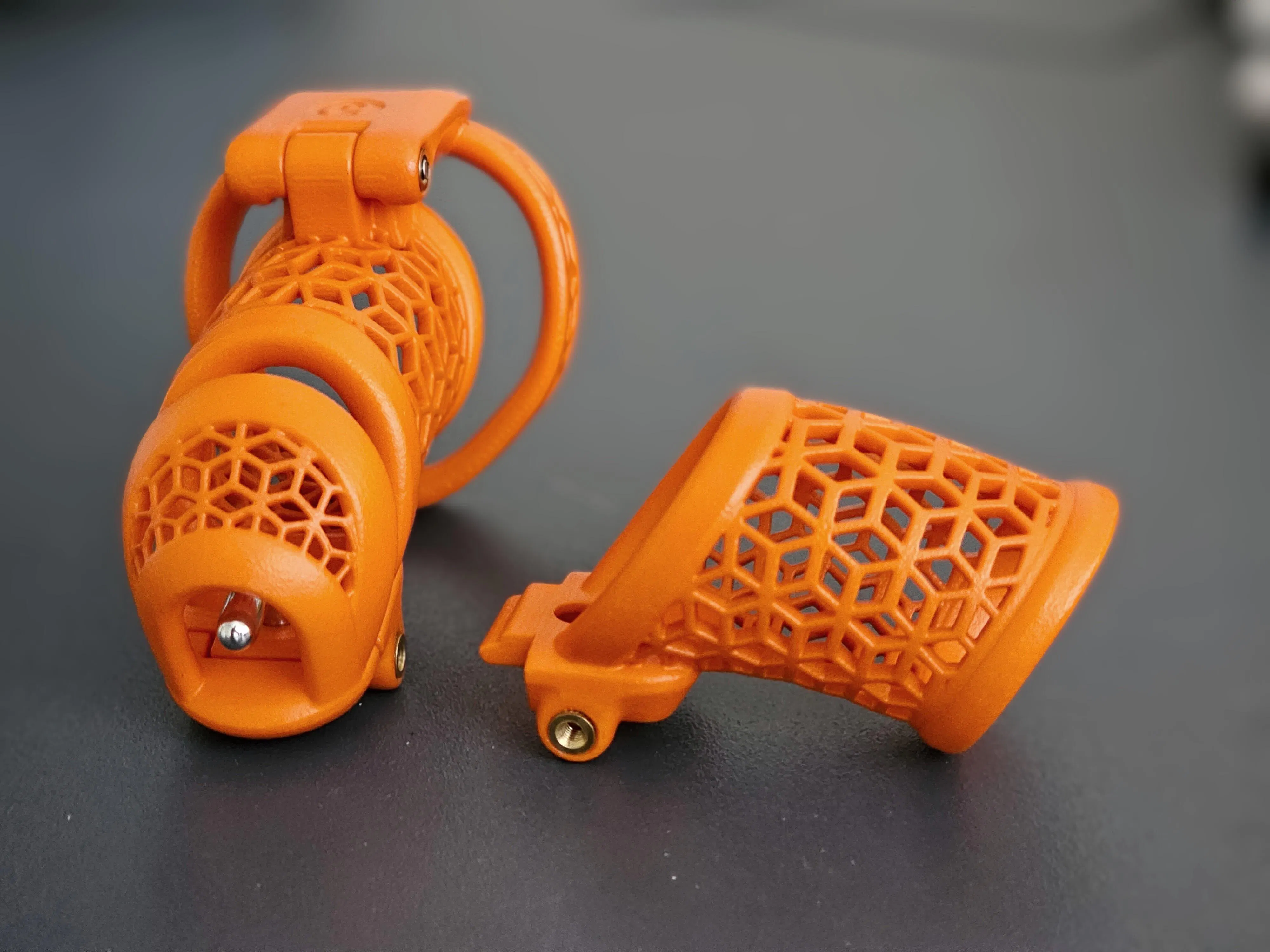 Evotion Orion