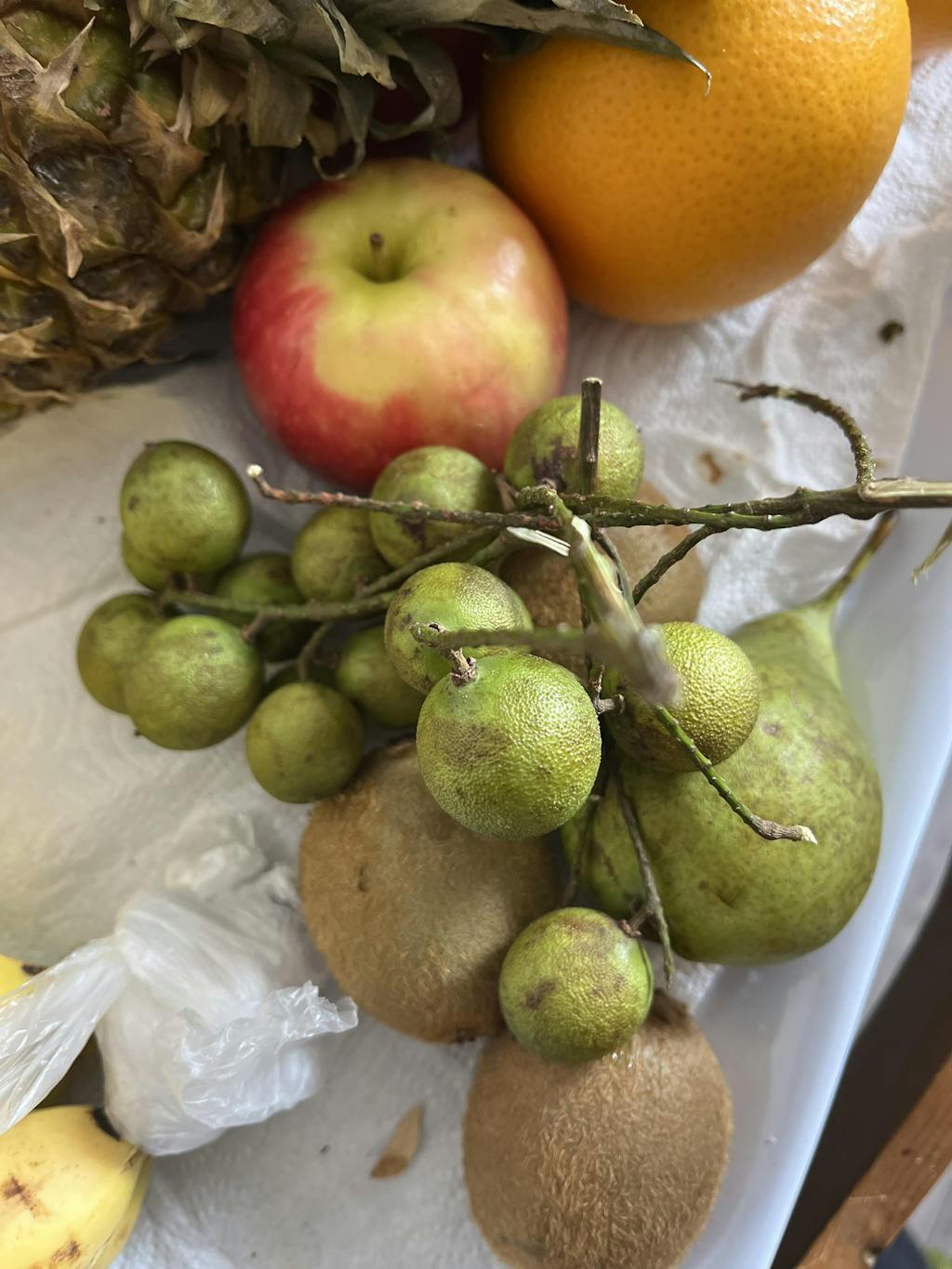 Fresh St Lucian | Jamaican Guineps – Exotic Express