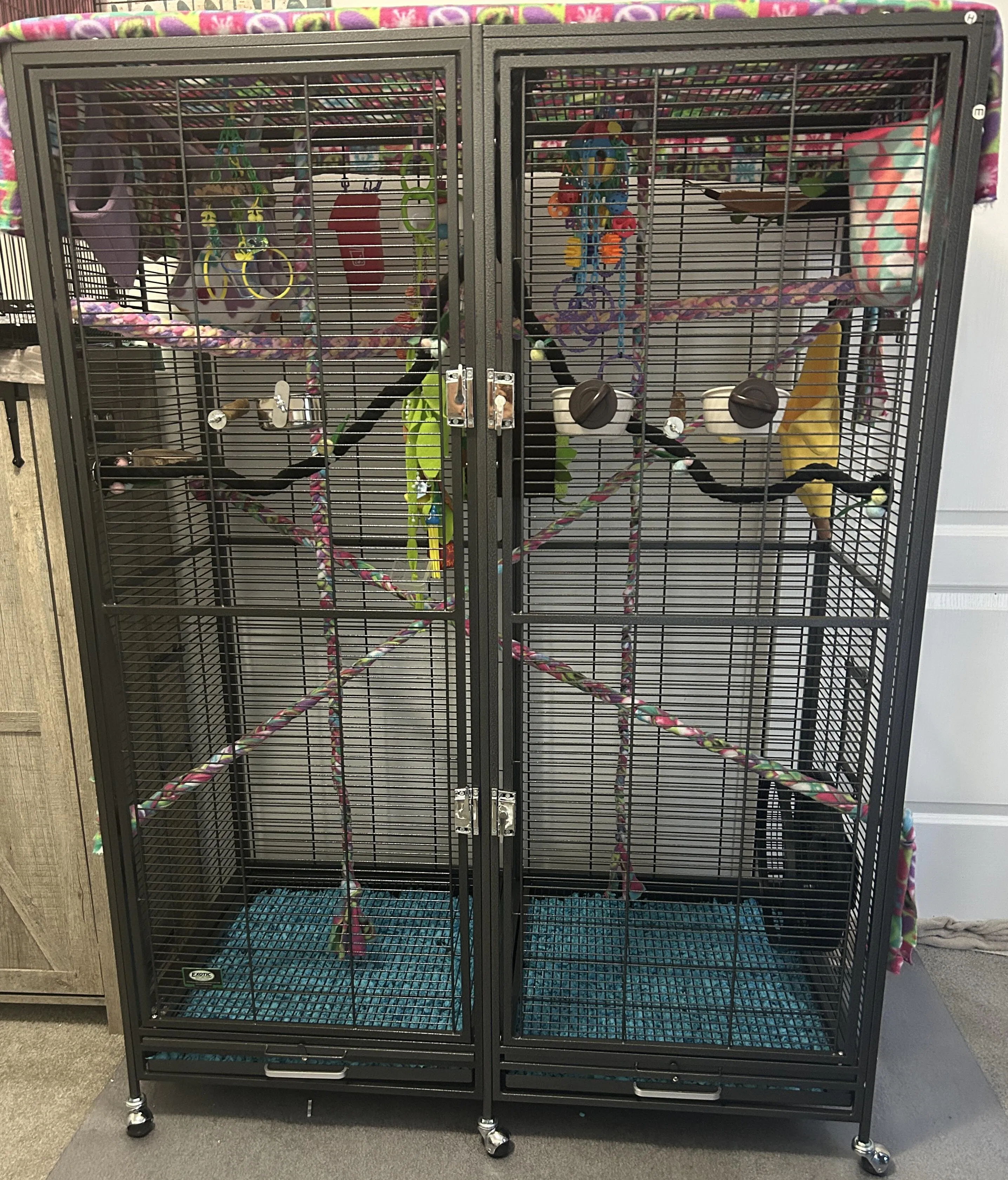 Borneo Cage (Version II)