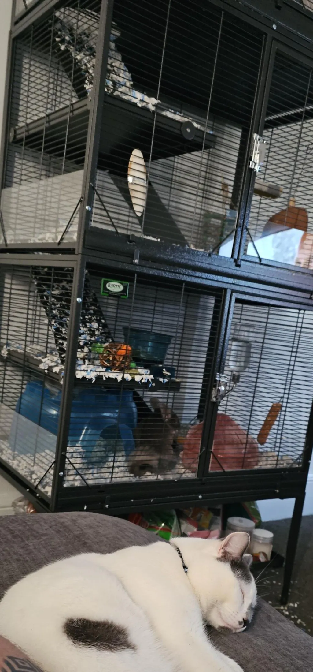 6-Level Mansion Cage
