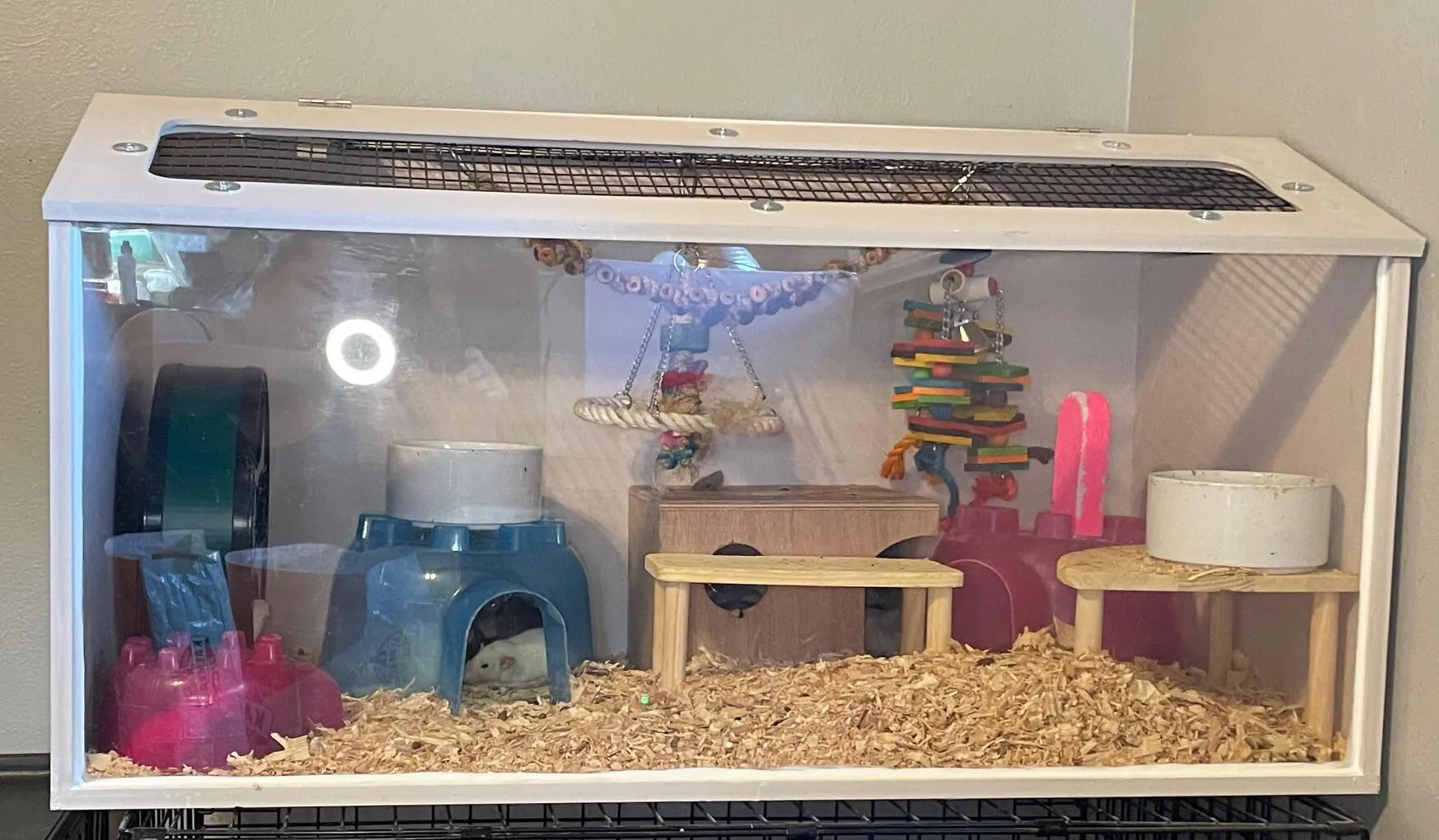 Sahara Cage