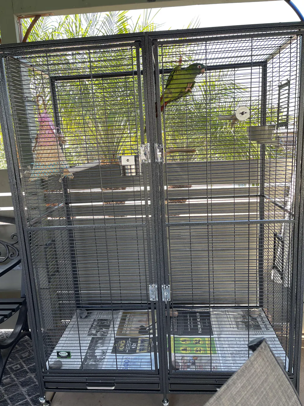 Borneo Cage