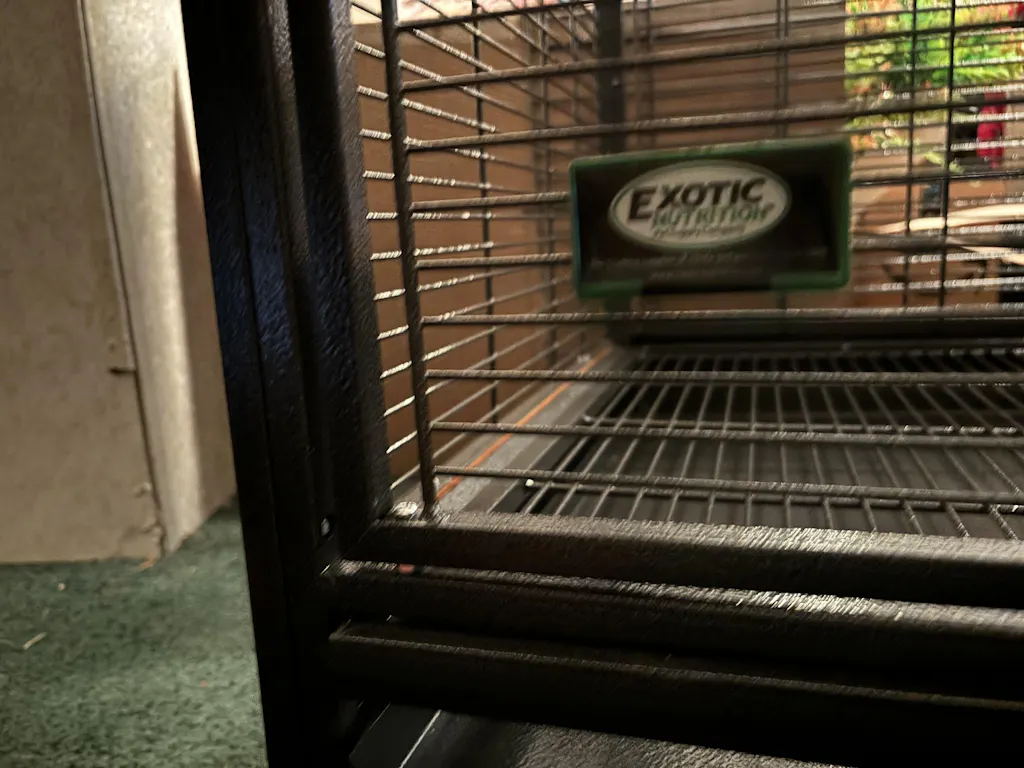 Borneo Cage