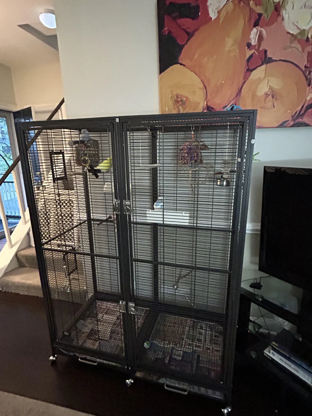 Borneo Cage