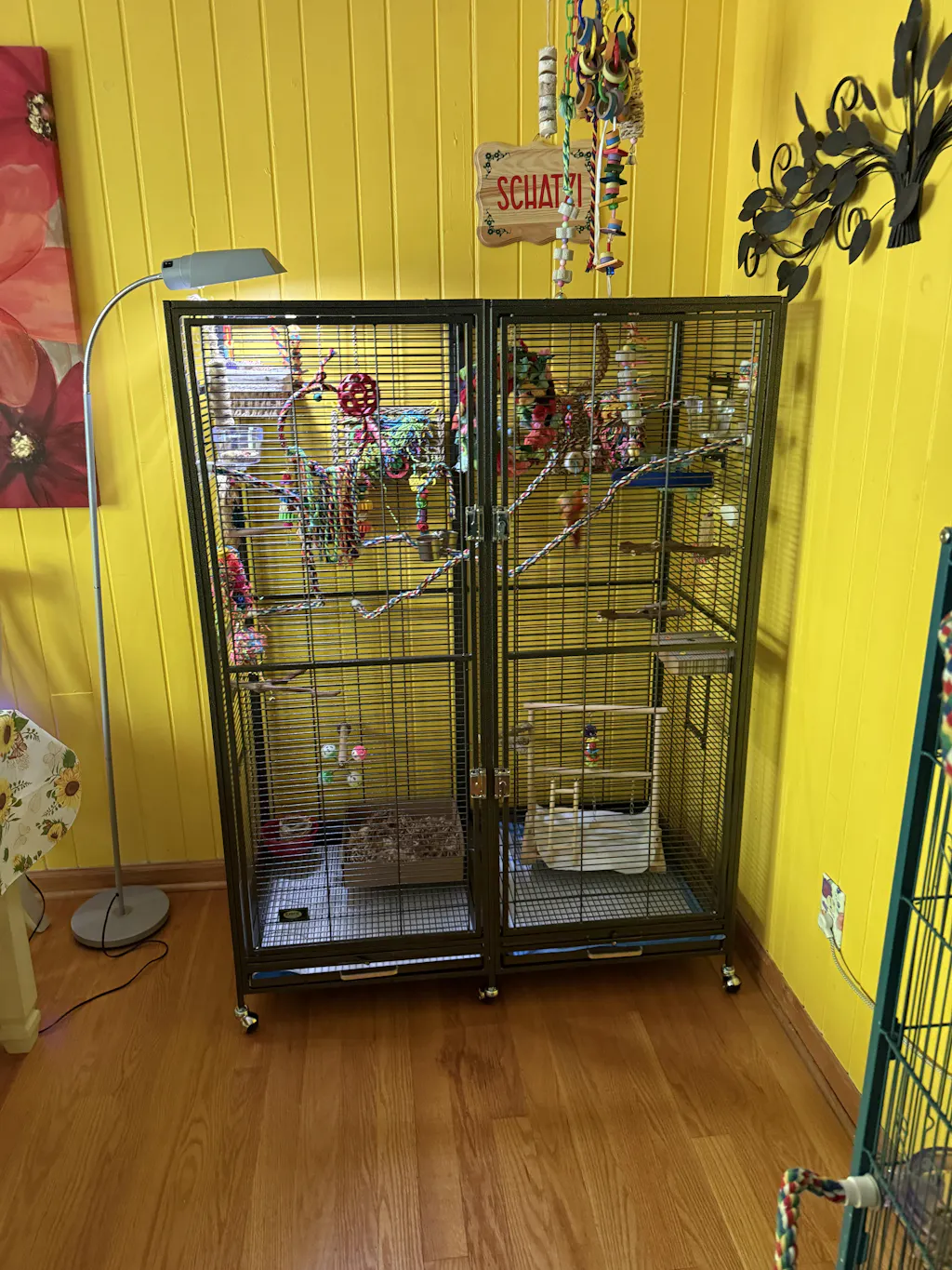 Borneo Cage