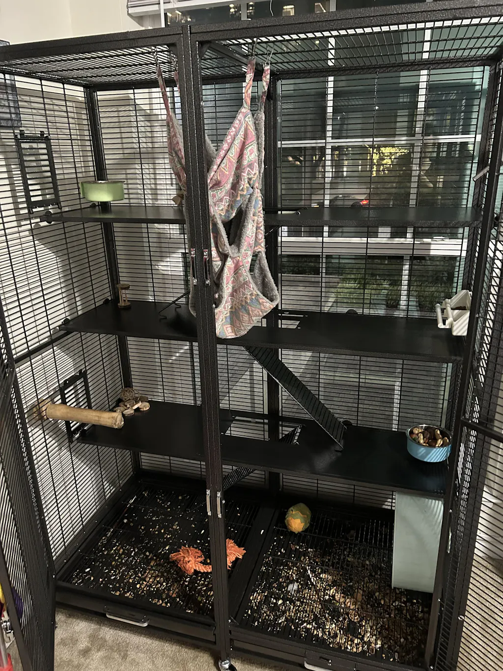 Borneo Cage