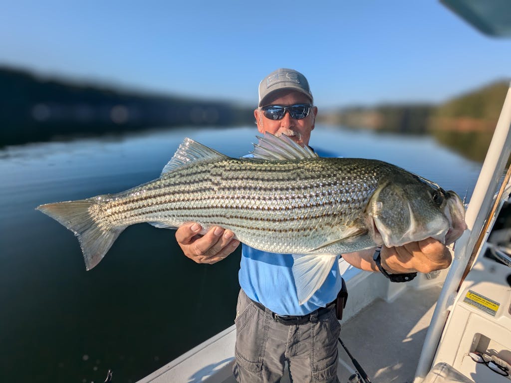 EZ Fshing,EZ U-Rigs, folding umbrella rigs or U-Rigs for trolling – EZ ...