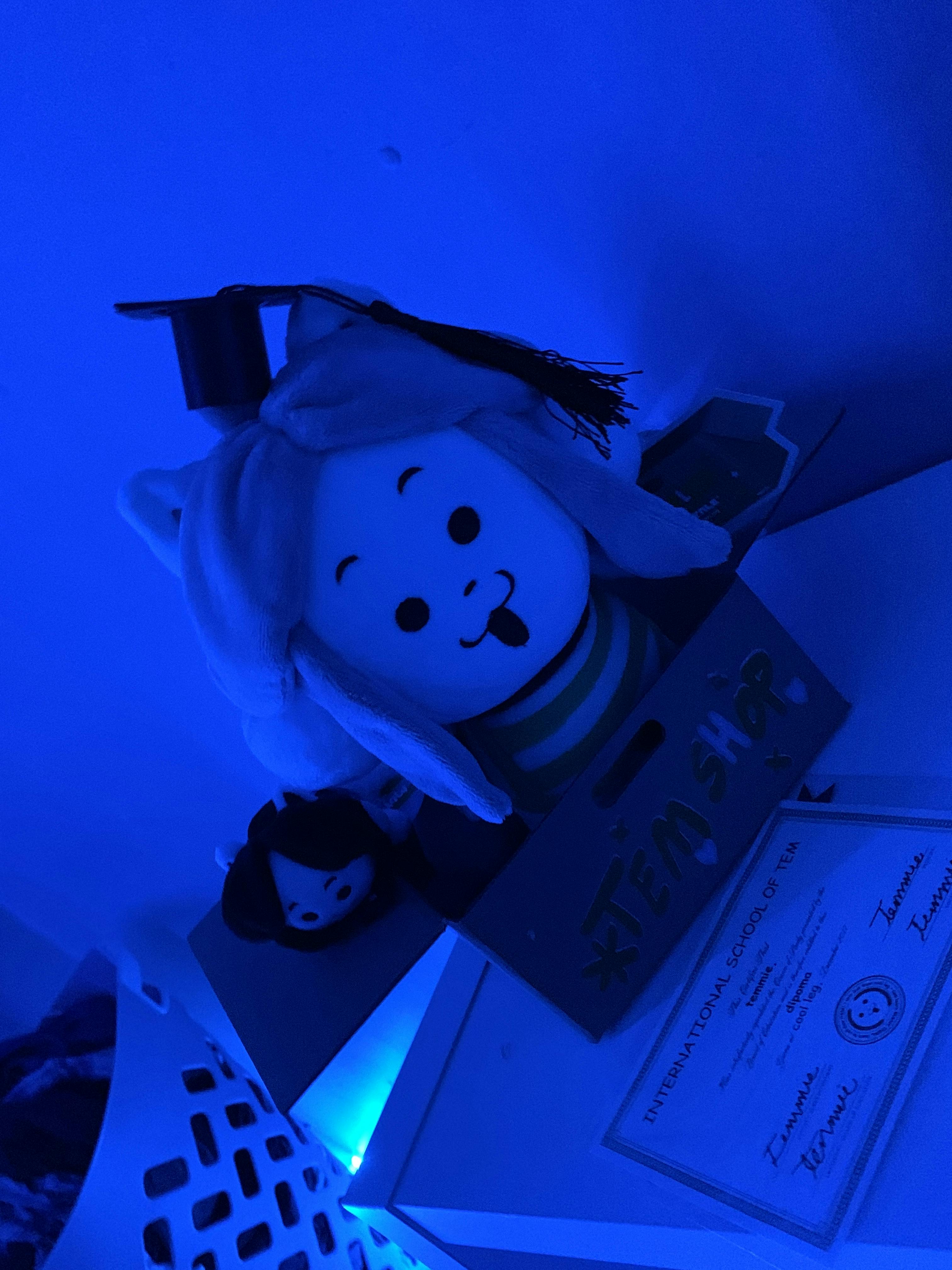 UNDERTALE - Shop Tem Plush - Fangamer