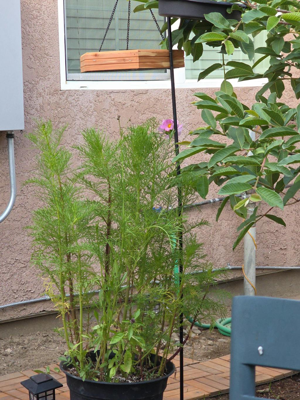 Fruit Tree Booster – Farmer's Secret