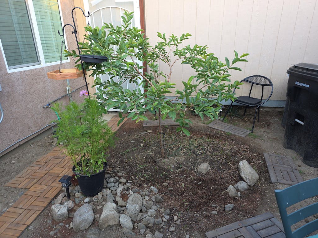 Fruit Tree Booster – Farmer's Secret