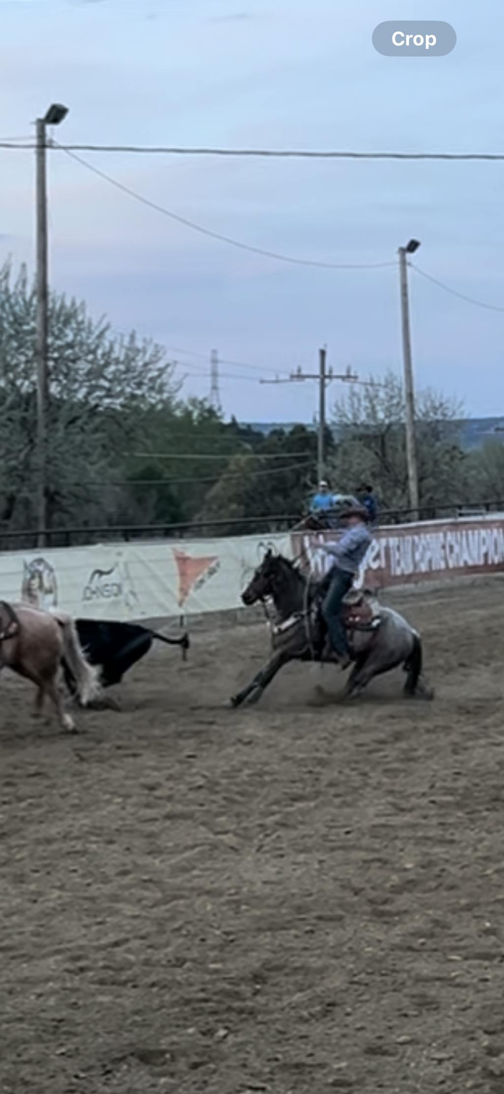 Cobalt Heel Rope - 35' – Fast Back Ropes