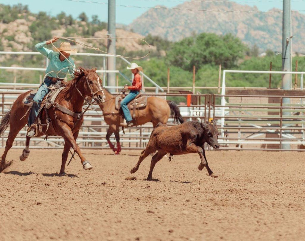 Edge 4-Strand Calf Rope – Fast Back Ropes