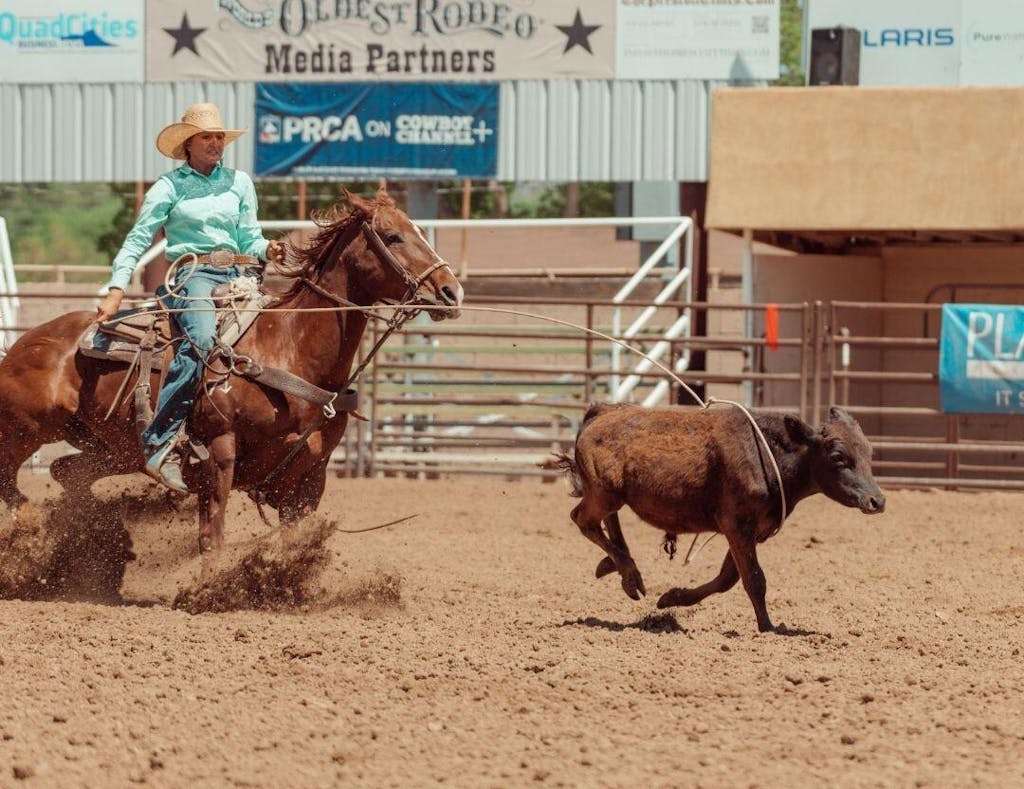 Edge 4-Strand Calf Rope – Fast Back Ropes