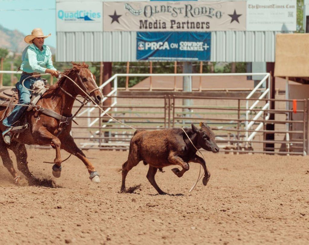 Edge 4-Strand Calf Rope – Fast Back Ropes