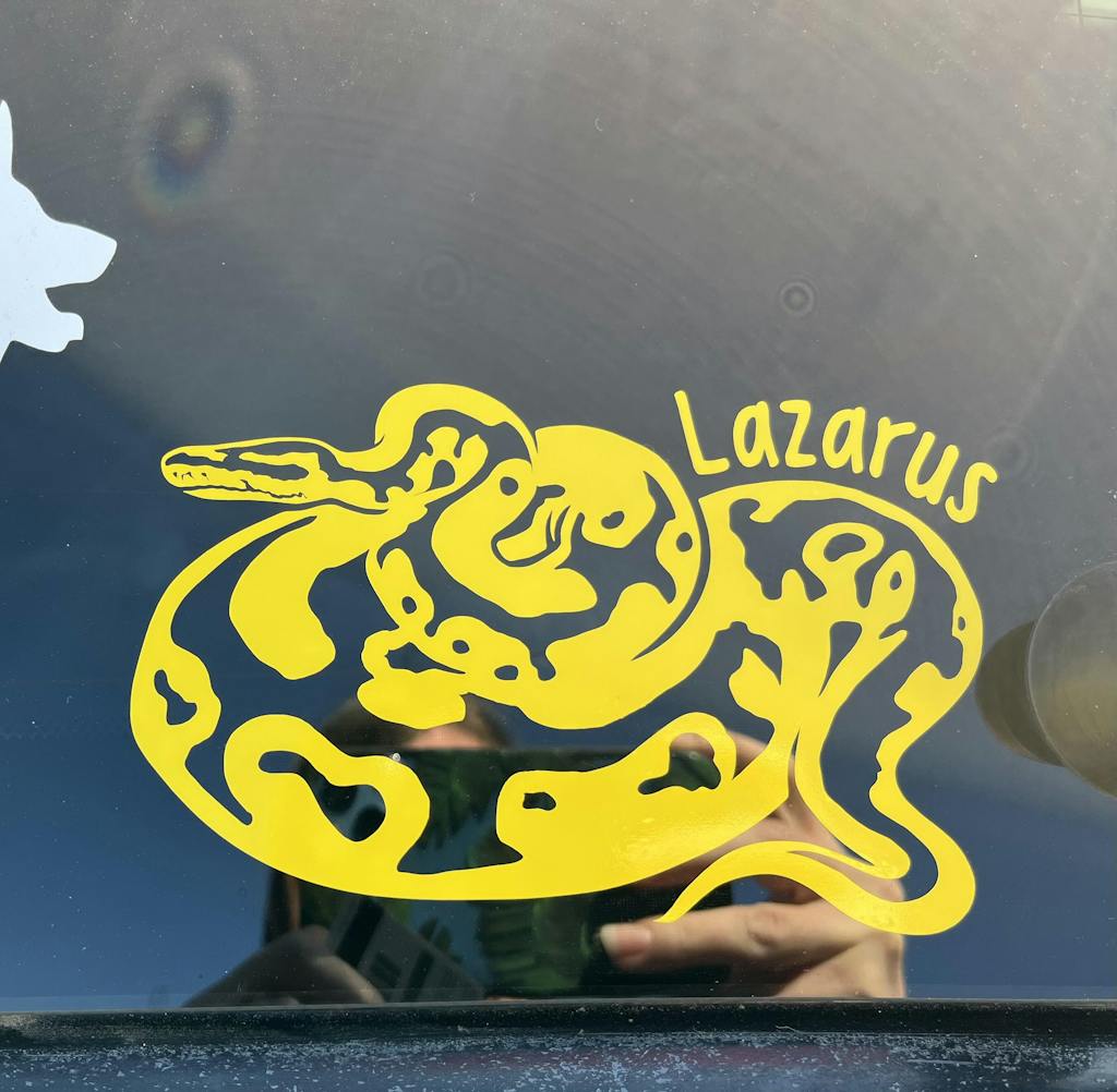Ball Python Design Decal, Waterproof Vinyl Decal, Cute Snake Reptile G ...