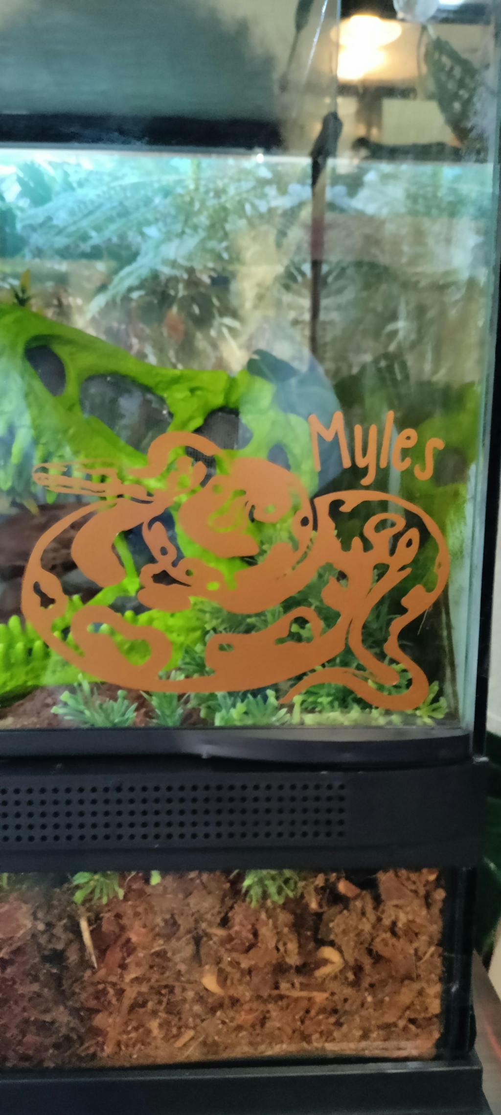 Ball Python Customizable Decal, Waterproof Reptile Vinyl Decal, Cute S ...