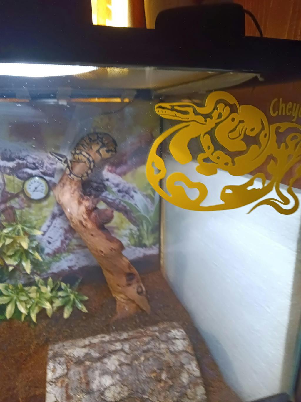 Ball Python Customizable Decal, Waterproof Reptile Vinyl Decal, Cute S – Fatty Pancake