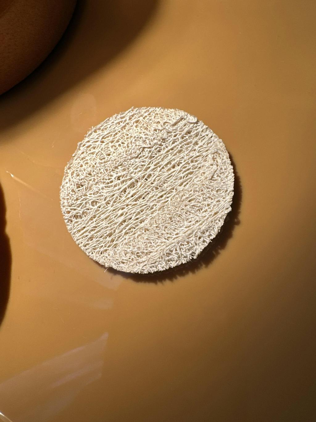 Luffa Facial Sponge 2.25" Round | Fawn Lily Botanica