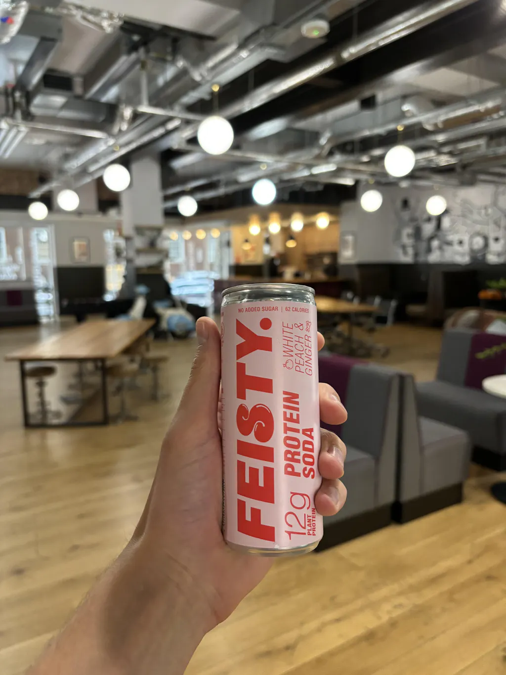 Feisty Protein Soda 330ml- Mix Pack – Feisty Drinks