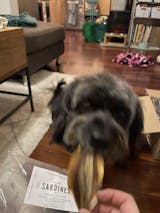 Dried Sardines for Dogs | Dehydrated Dog Treats – Ferguson's Treatos