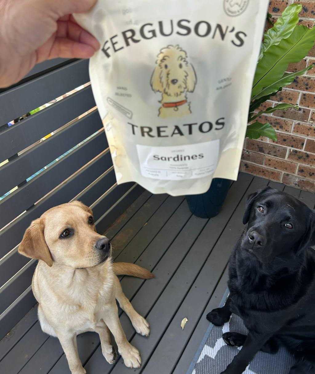 Dried Sardines for Dogs | Dehydrated Dog Treats – Ferguson's Treatos