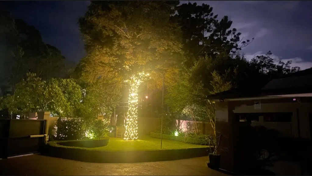 Outdoor Fairy Light Tree Kit - Medium | Festoon House