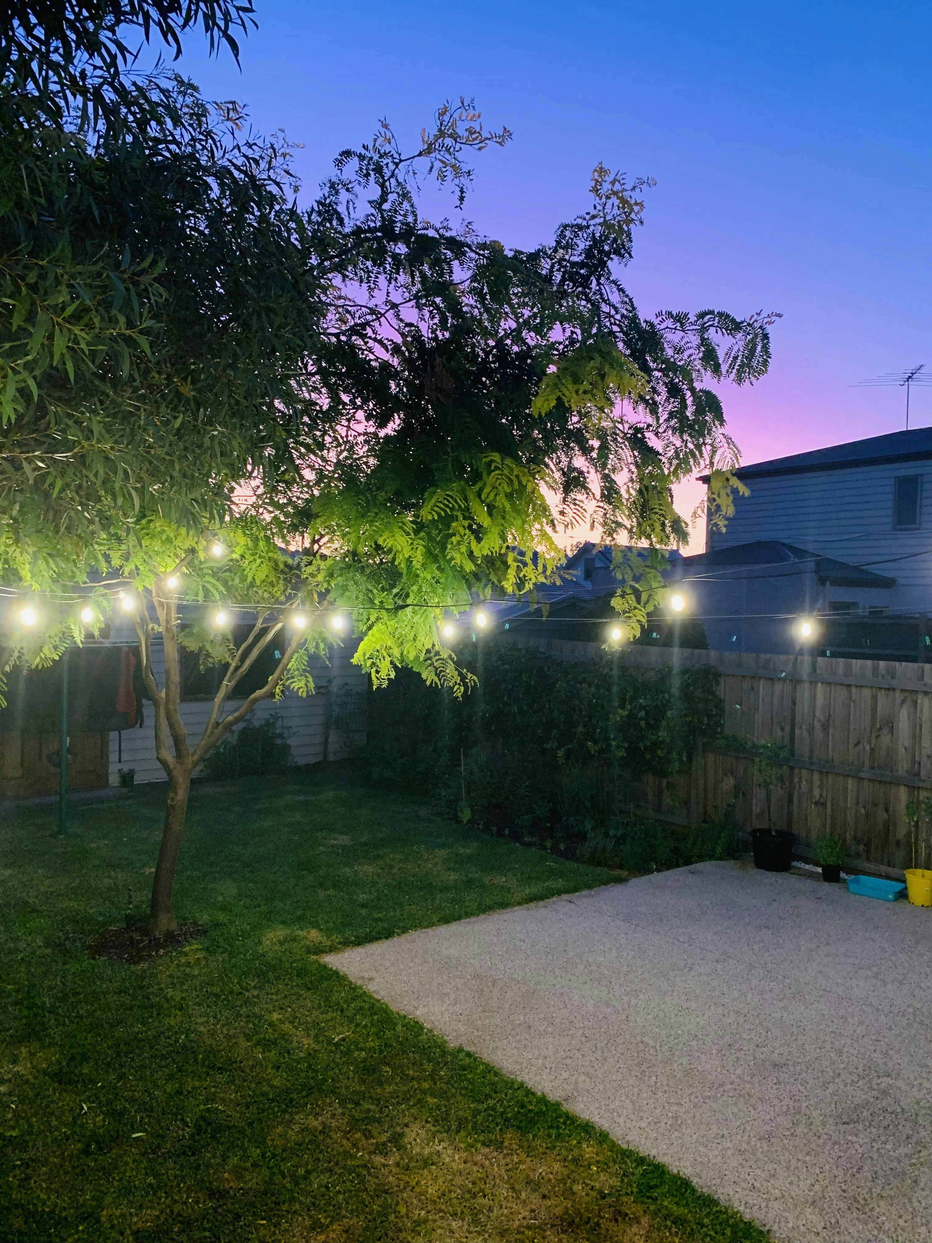 Outdoor Festoon Lights X 100cm Spacing | Festoon House