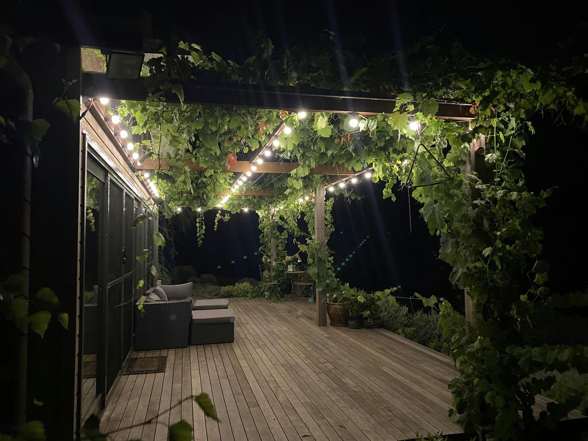 Outdoor Commercial Grade Festoon Lights X 50cm Spacing | Festoon House