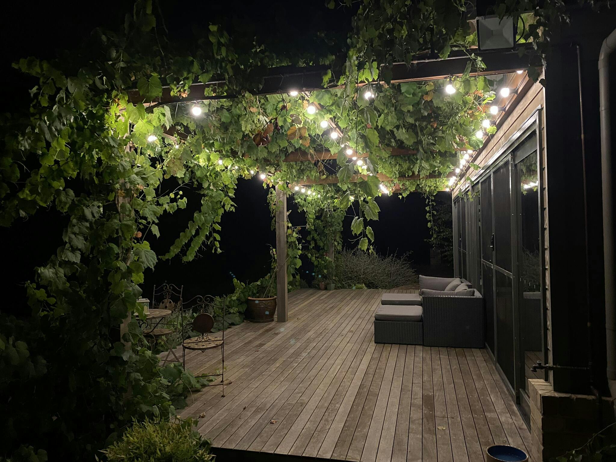 Outdoor Commercial Grade Festoon Lights X 50cm Spacing | Festoon House