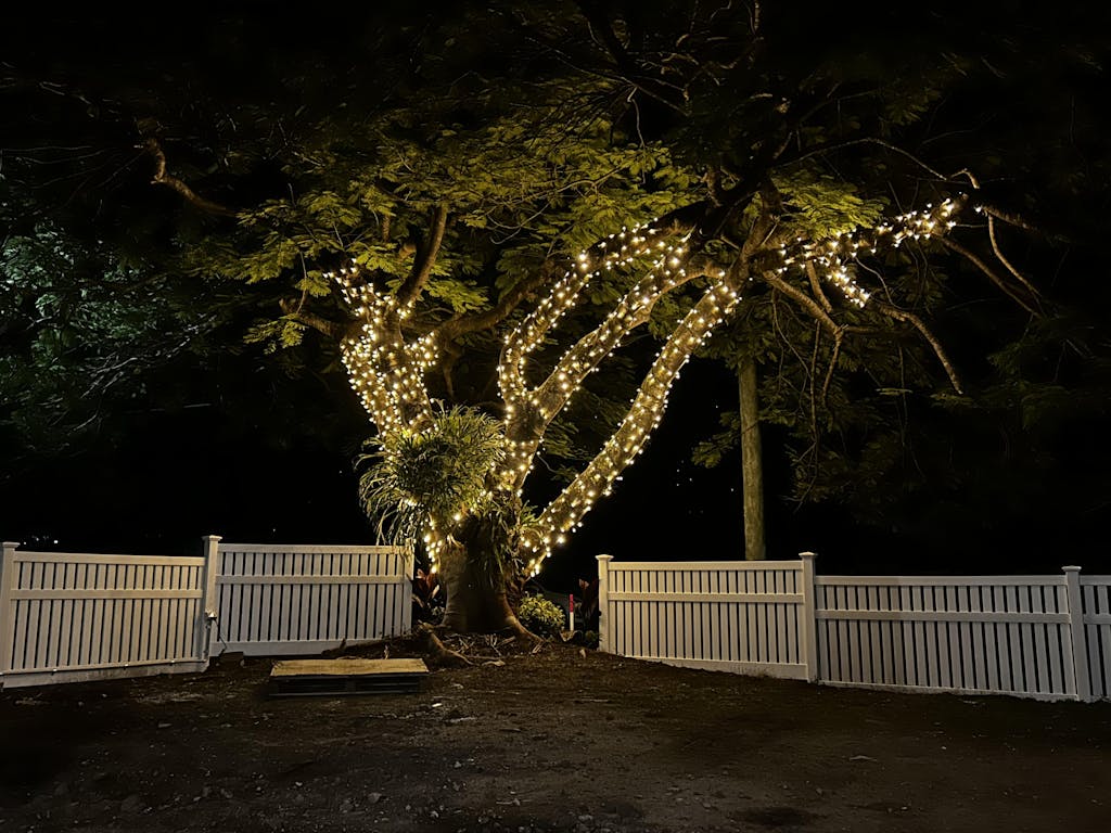 Outdoor Fairy Light Tree Kit - Large | Festoon House