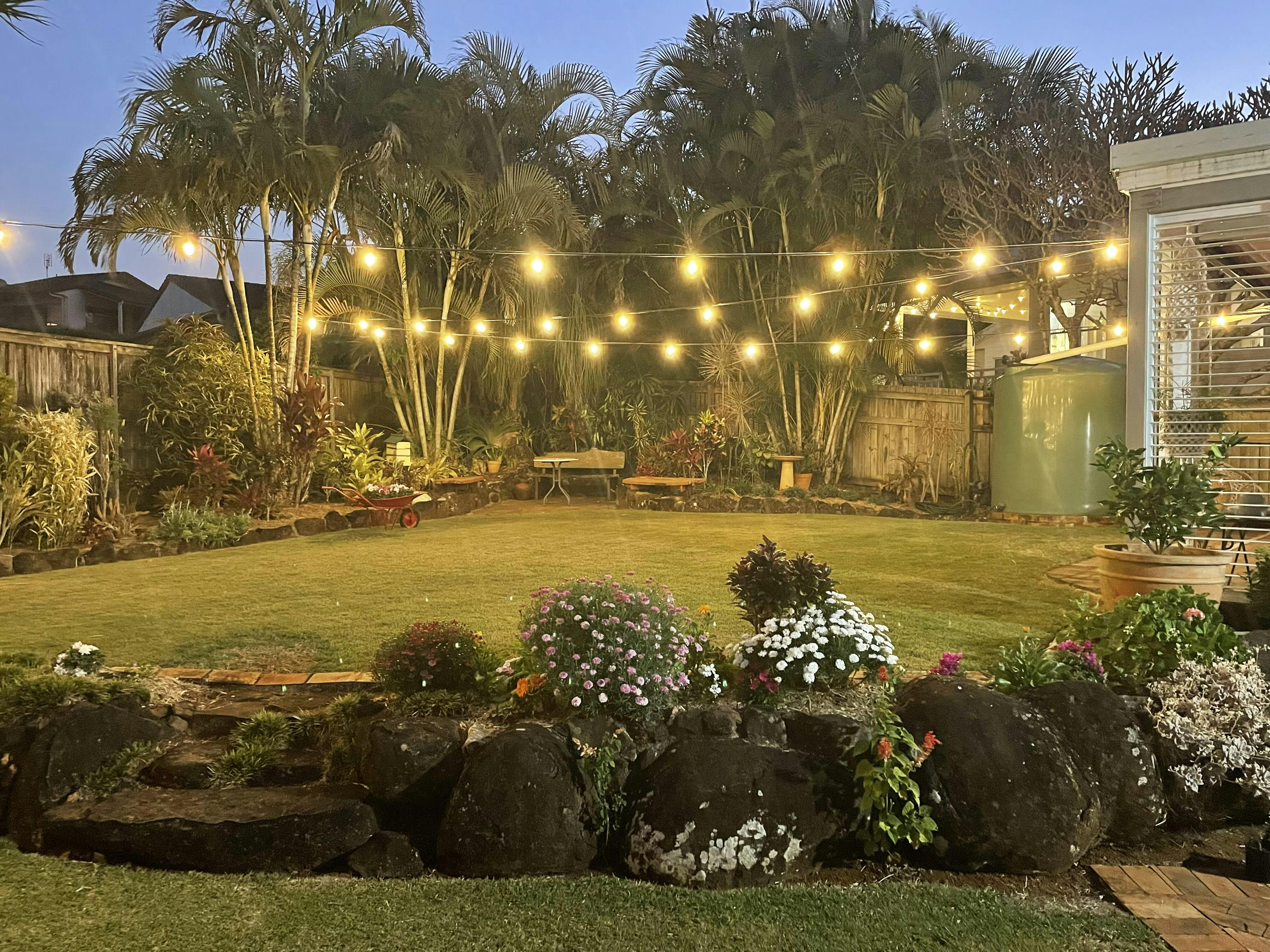 Outdoor Festoon Lights X 100cm Spacing | Festoon House