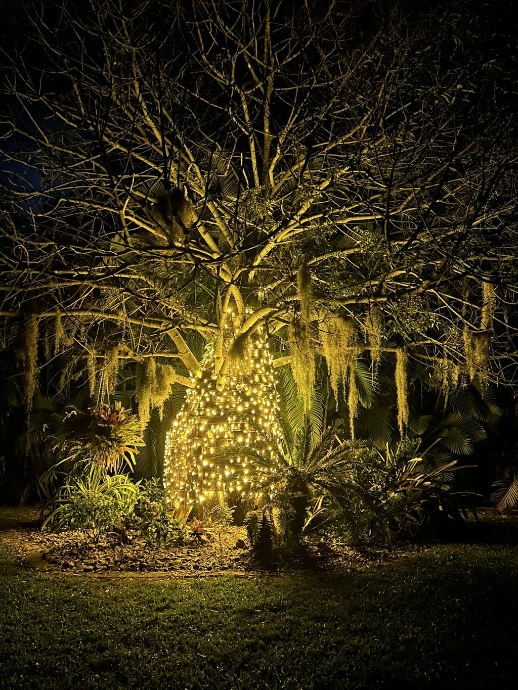 Outdoor Fairy Light Tree Kit - Medium | Festoon House