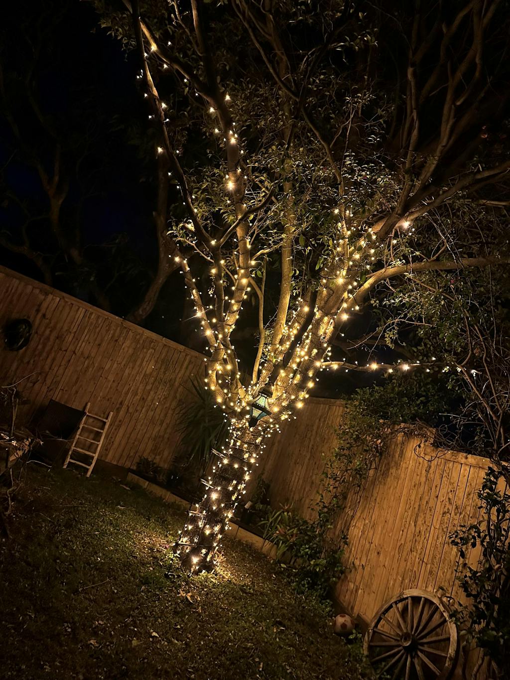 Outdoor Fairy Light Tree Kit - Medium | Festoon House