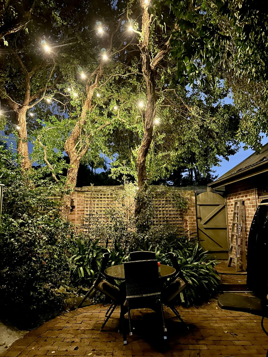 Outdoor Festoon Lights X 100cm Spacing | Festoon House