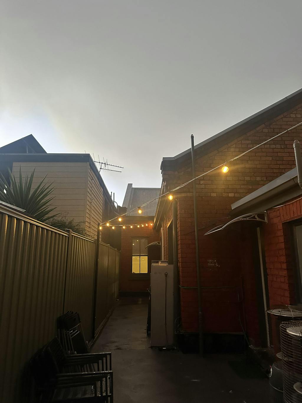 Outdoor Festoon Lights X 100cm Spacing | Festoon House