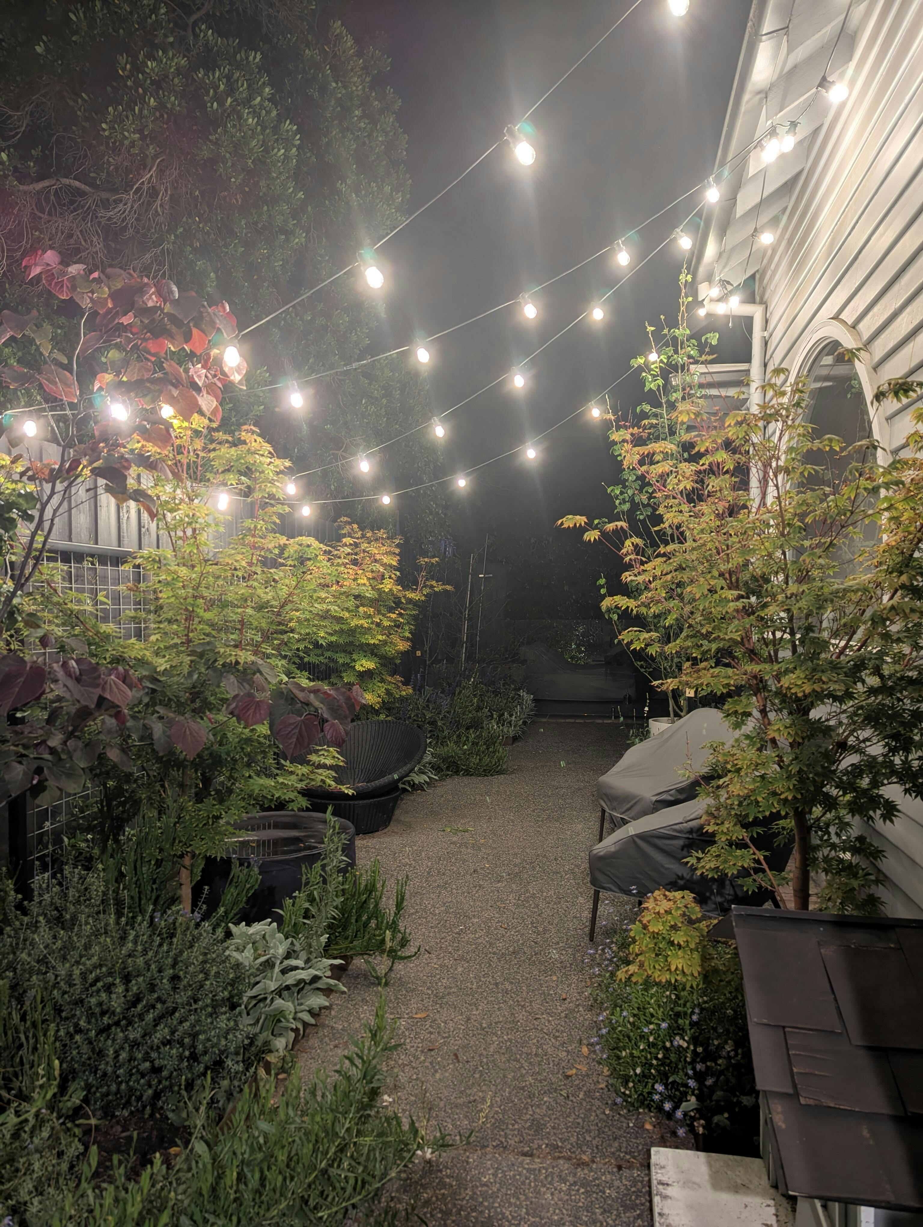 Outdoor LED Festoon Lights X 50cm Spacing | Festoon House