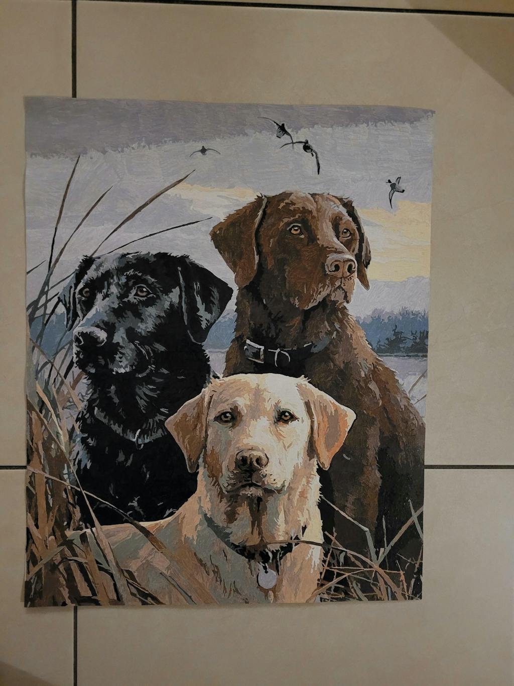 Paint by numbers - Labrador Trio – Figured'Art