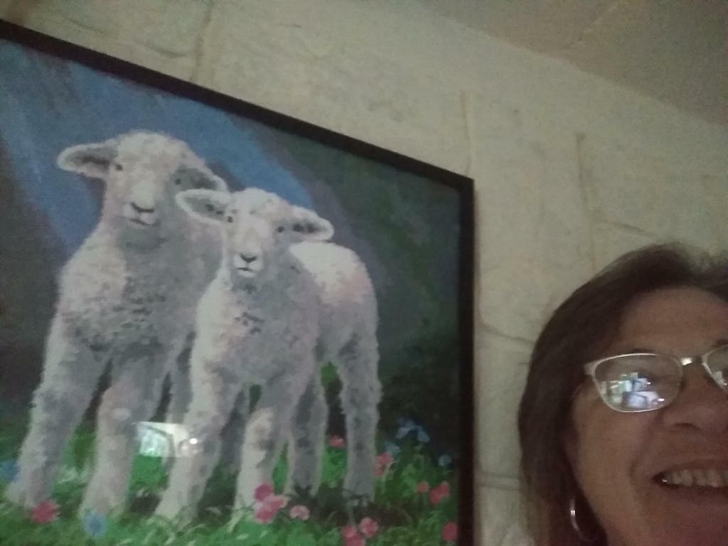 Paint by numbers - Sheep – Figured'Art