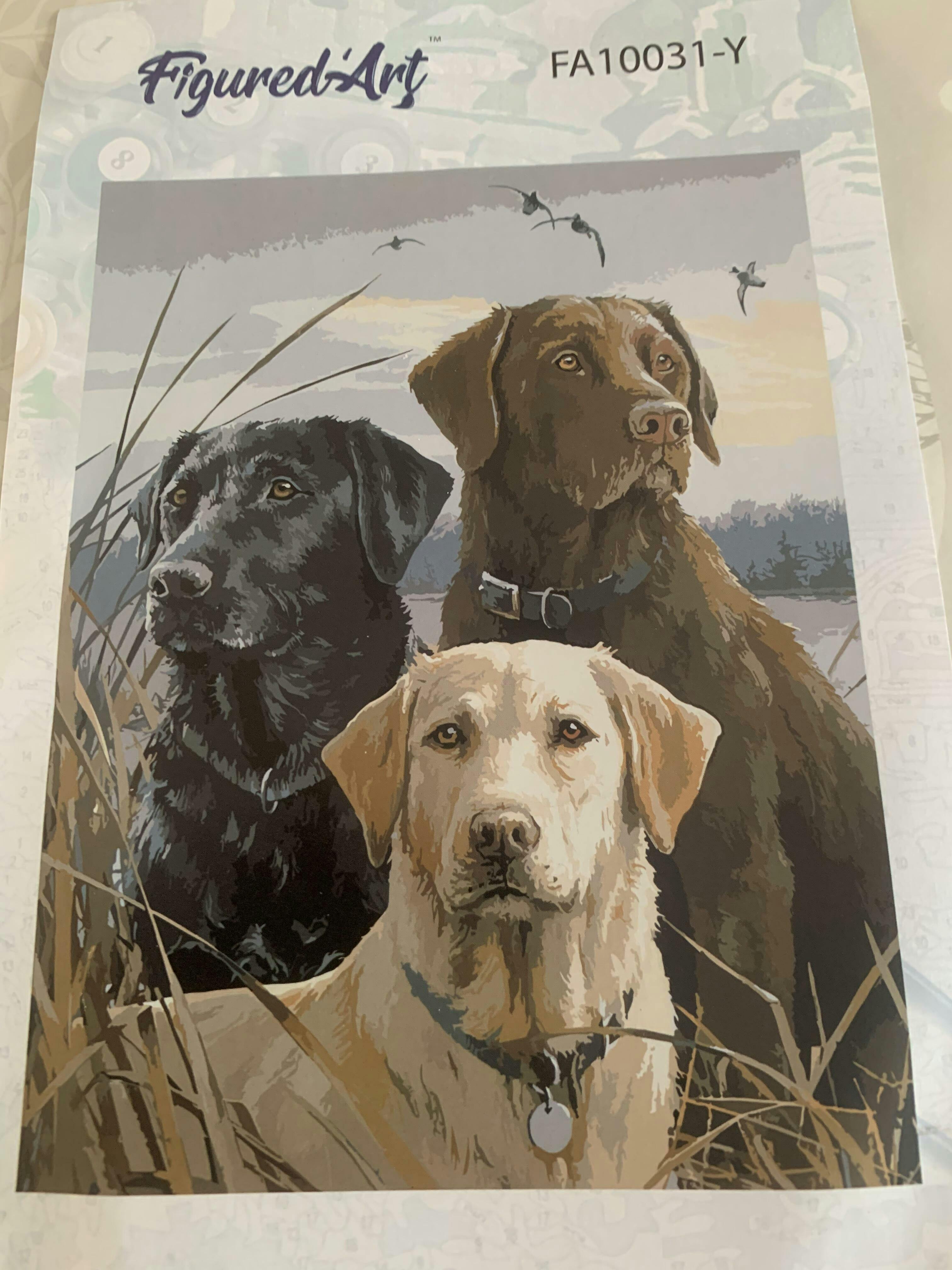 Paint by numbers - Labrador Trio – Figured'Art