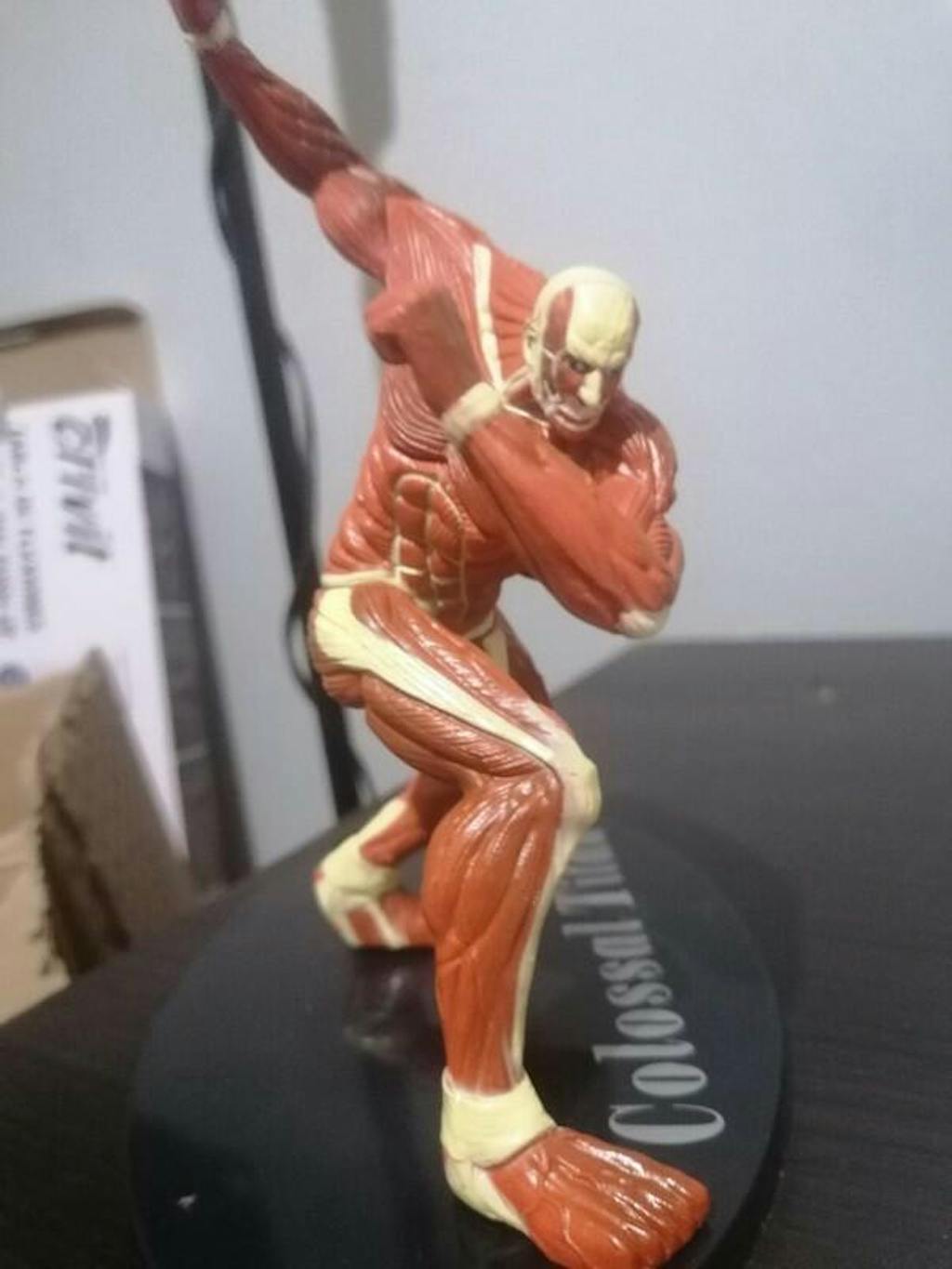 Figurine Titan Colossal – Figurine Manga France®