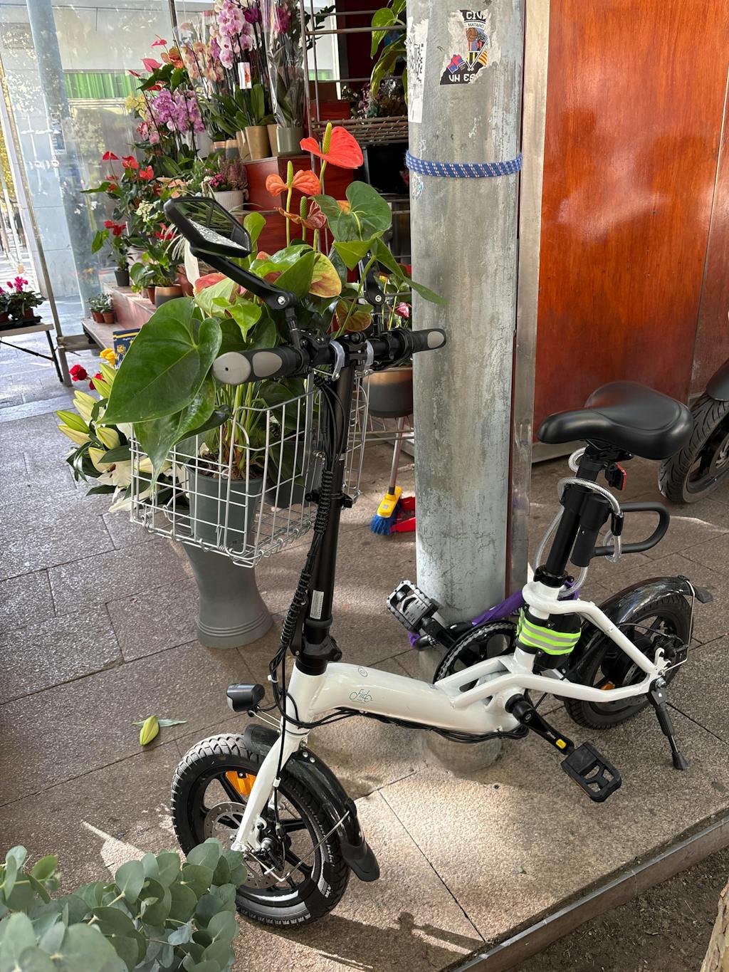 Fiido D3 Pro - Mini Folding Ebike