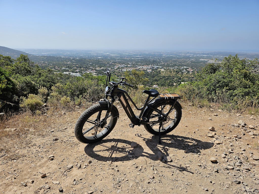 Fiido Titan - 400km ultra-long range Fat Tire Ebikes