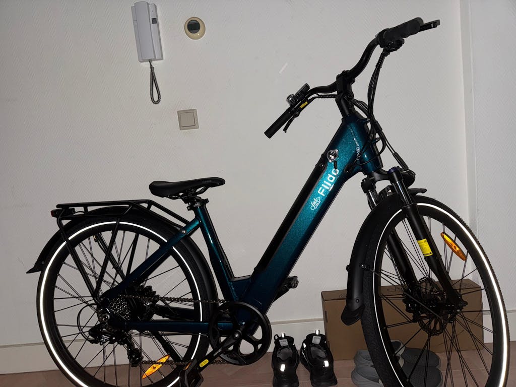 Fiido C11 Pro - City Lightweight Ebike
