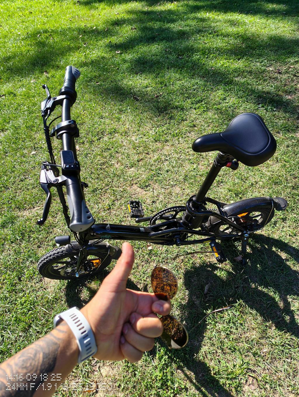 Fiido D3 Pro - Mini Folding Ebike