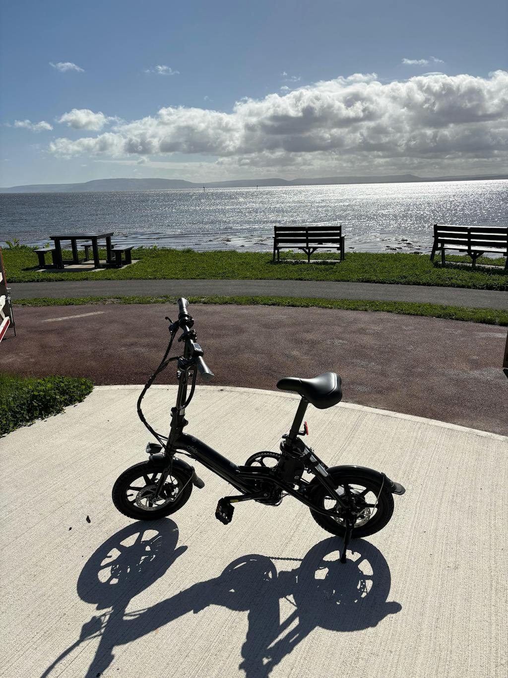 Fiido D3 Pro - Mini Folding Ebike