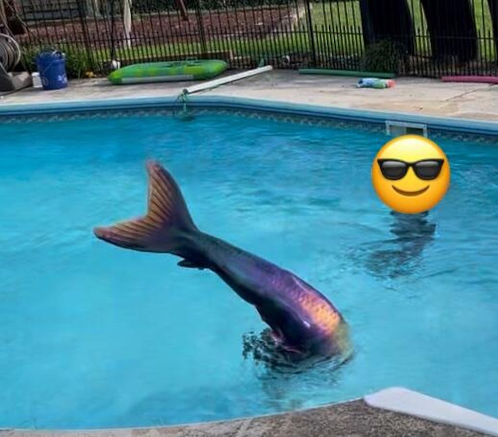 Riptide Atlantis Mermaid Tail – Fin Fun Mermaid