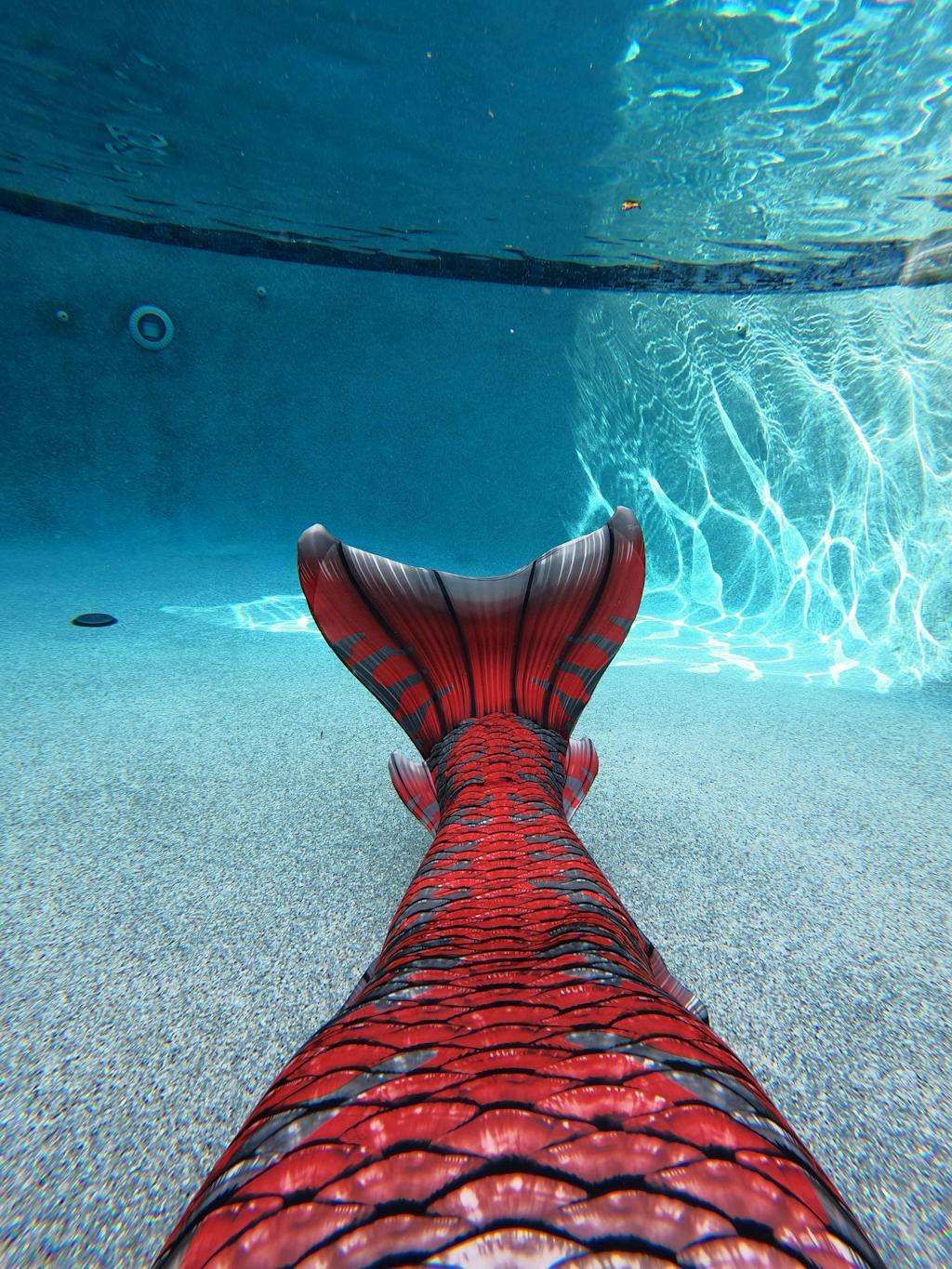 Custom Tail Creator - Design Tool – Fin Fun Mermaid