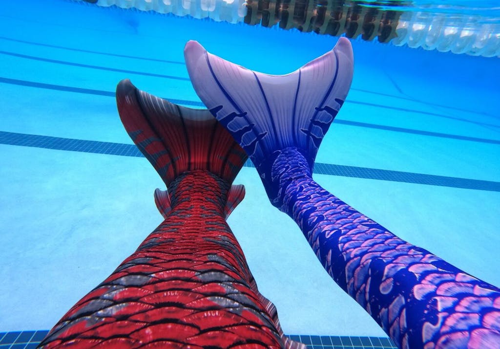 Custom Tail Creator - Design Tool – Fin Fun Mermaid