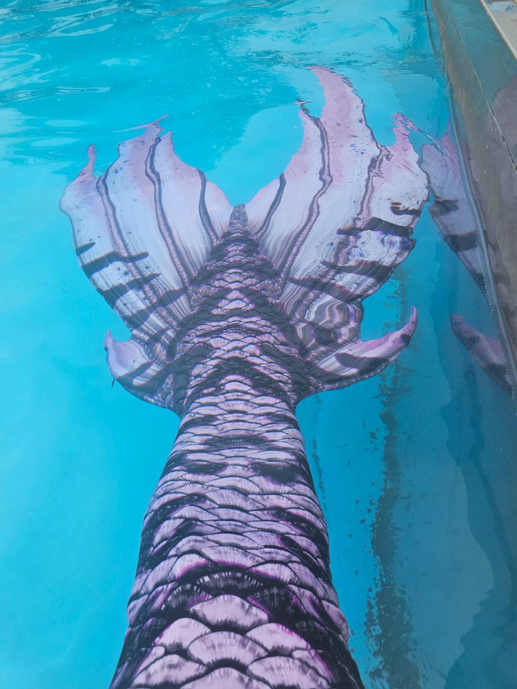 Custom Tail Creator - Design Tool – Fin Fun Mermaid